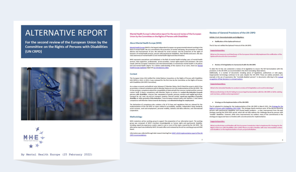 MHE publishes its alternative report on the UN CRPD implementation by ...